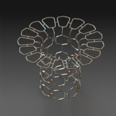 Structural Heart Valve Solutions - Aran Biomedical