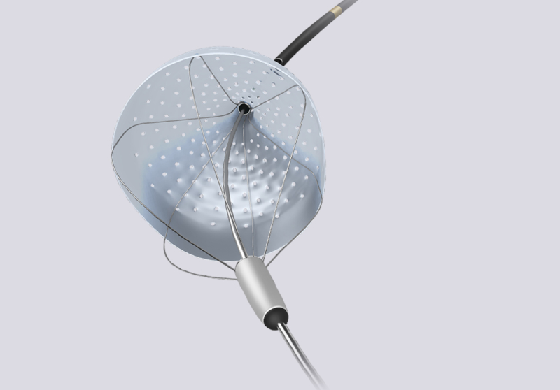 Custom design peripheral vascular applications – PTFE Covered stents ...