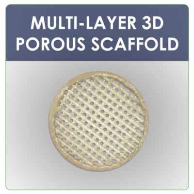 Multi-layer 3D Porous Scaffold - Aran Biomedical